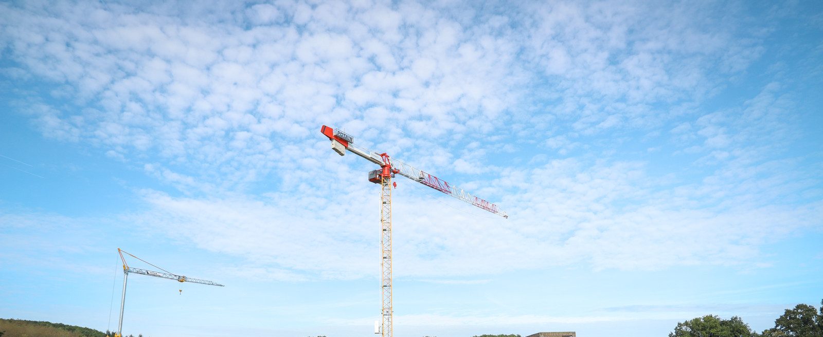 Quels sont les différents types de grues ? | ABSKILL